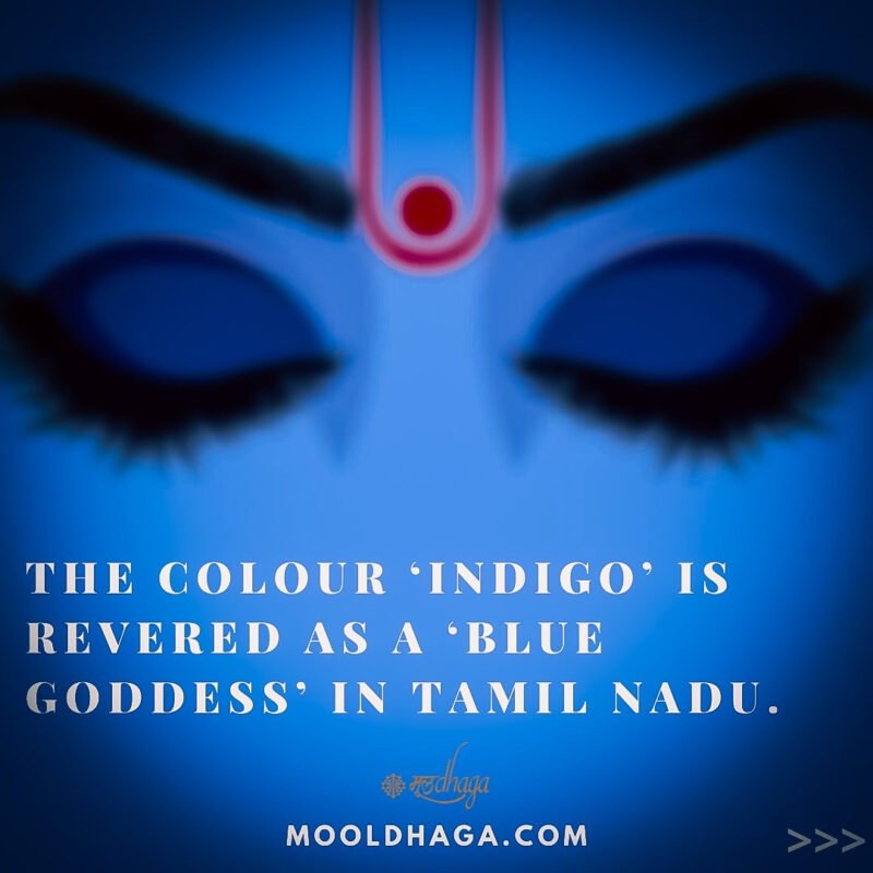 INDIGO –THE BLUE GODDESS OF INDIA